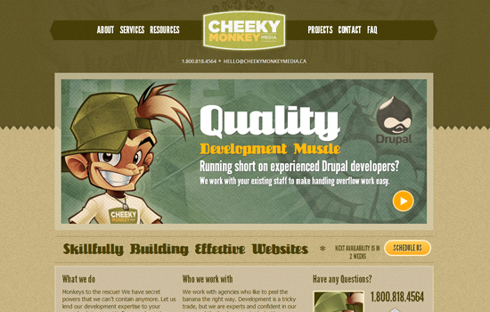 Creative Uses of Mascots in Website Design