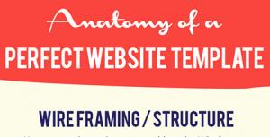 Anatomy of A Perfect Website Template - Infographic
